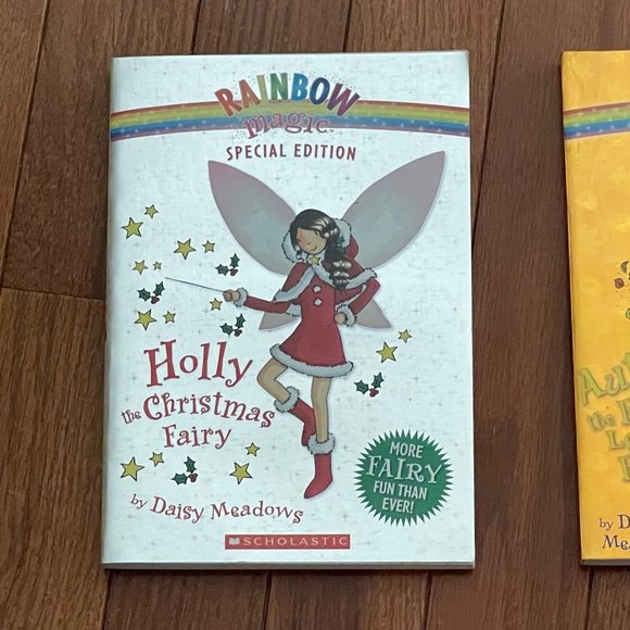 Scholastic | Toys | Rainbow Magic Special Edition 5 Book Lot | Poshmark